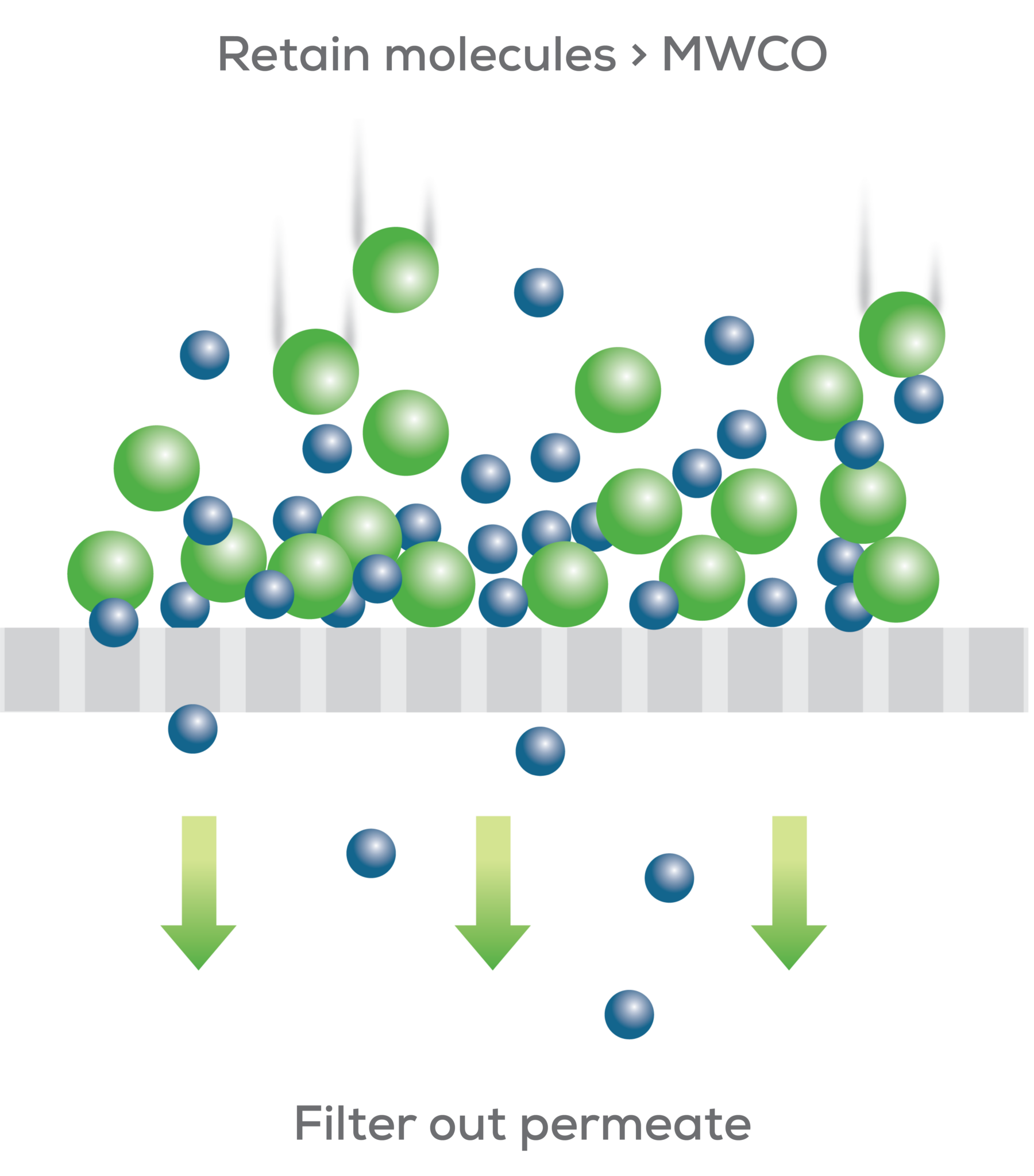Ultrafiltration Diafiltration UF DF Unchained Labs Ultrafiltration Diafiltration UF DF Unchained Labs